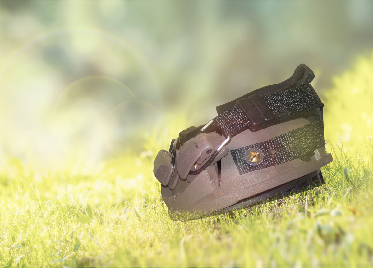 Dallmer Hufschuhe - Rehe-Clog